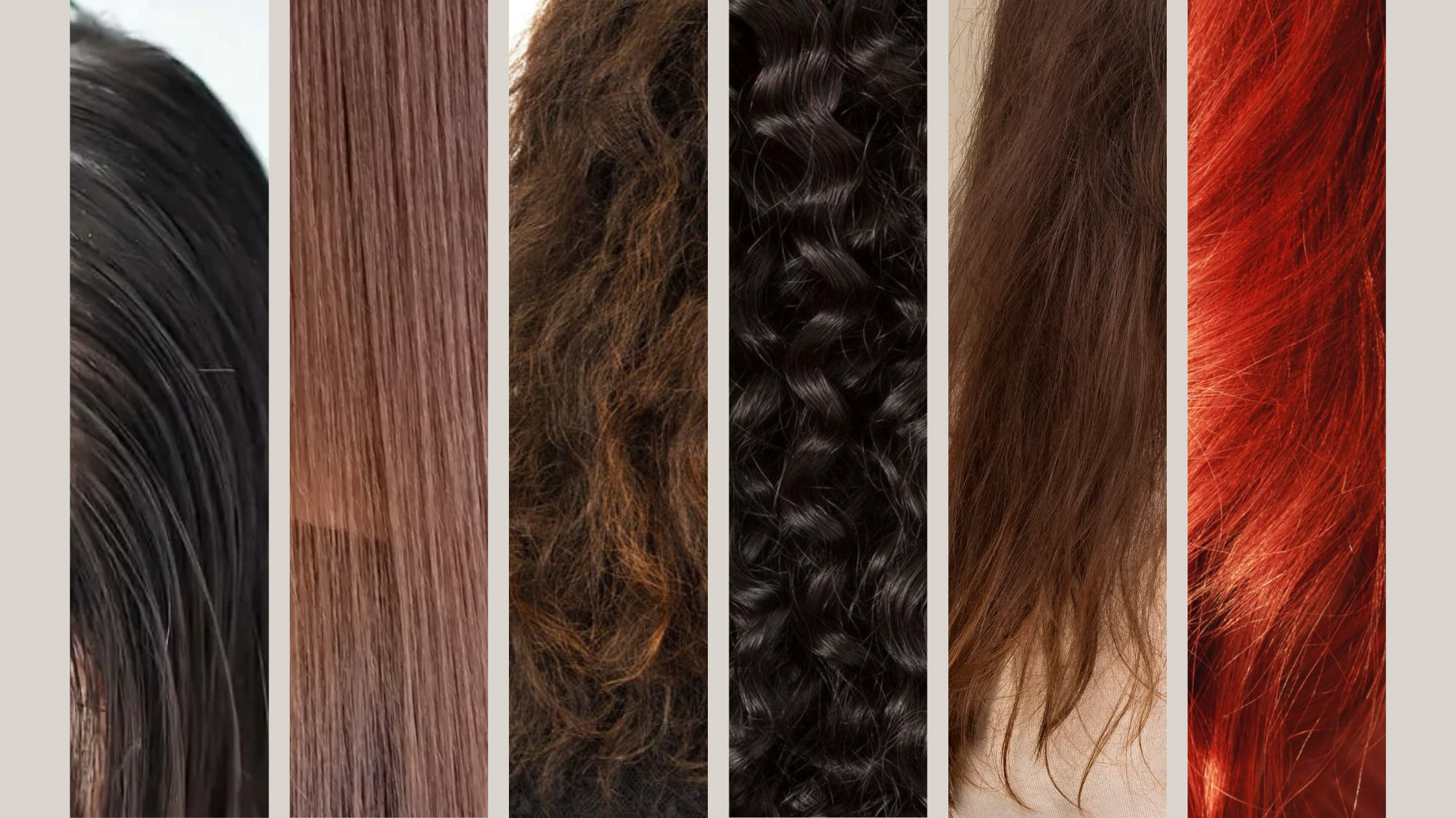 Décrypter l'énigme de vos cheveux : Un guide complet pour bien connaît ...